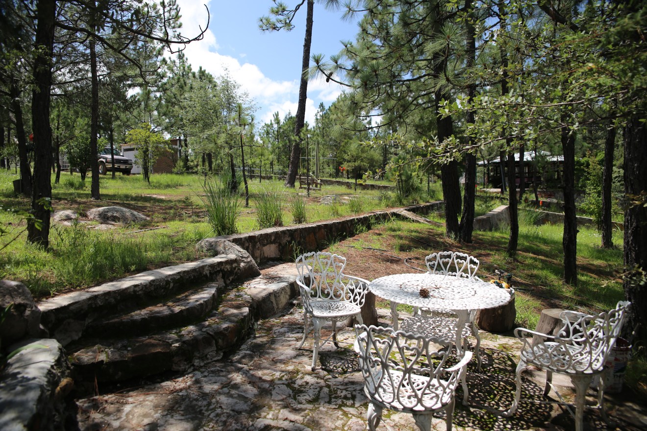 A day in Nature in Durango, Mexico – Life…Camera…ACTION!!!