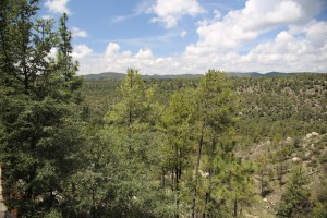 A day in Nature in Durango, Mexico – Life…Camera…ACTION!!!