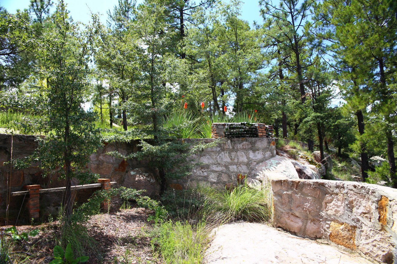 A day in Nature in Durango, Mexico – Life…Camera…ACTION!!!