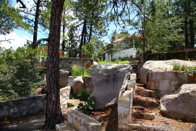 A day in Nature in Durango, Mexico – Life…Camera…ACTION!!!