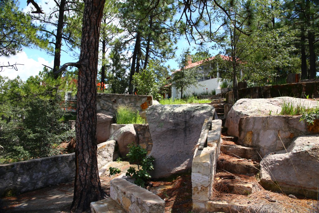 A day in Nature in Durango, Mexico – Life…Camera…ACTION!!!